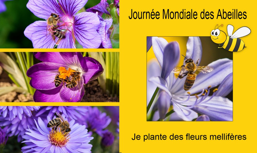 APPEL pour la Journée mondiales des Abeilles
