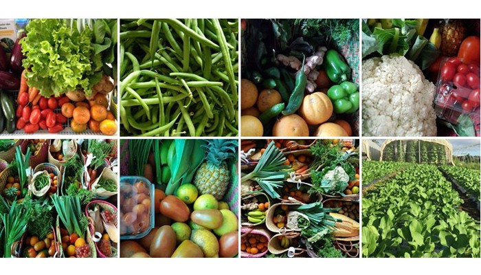 Vente directe Fruits et Légumes Producteur - Ti Panier des Hauts